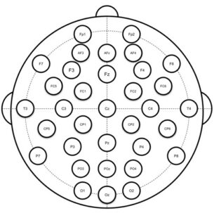 EEG Signal (re)Reference - BrainAccess